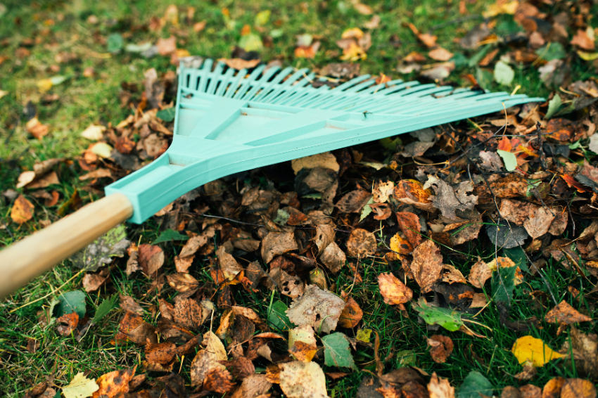 Fall Lawn Care Essentials | Martin John Company