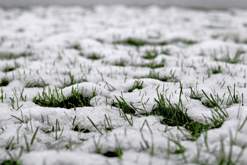 Your Winter Lawn Checklist for Chicago North Suburban Homes | Martin ...